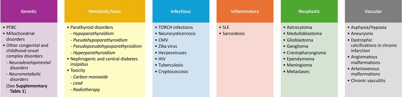 Basal ganglia calcification: ‘Fahr’s disease’ | Practical Neurology